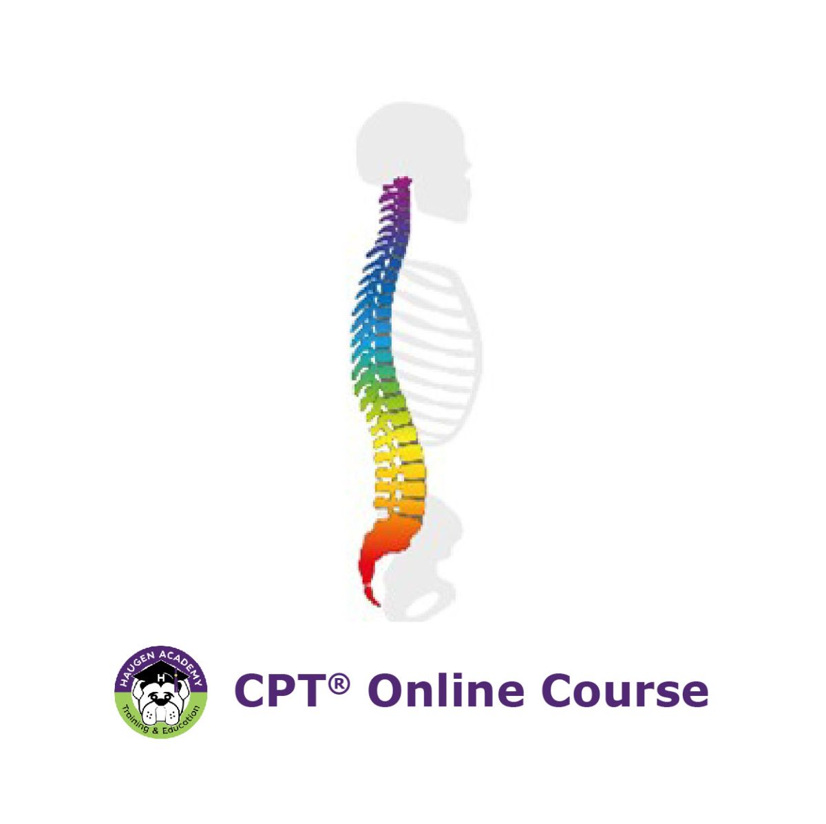 Procedure Coding for Spine Surgery