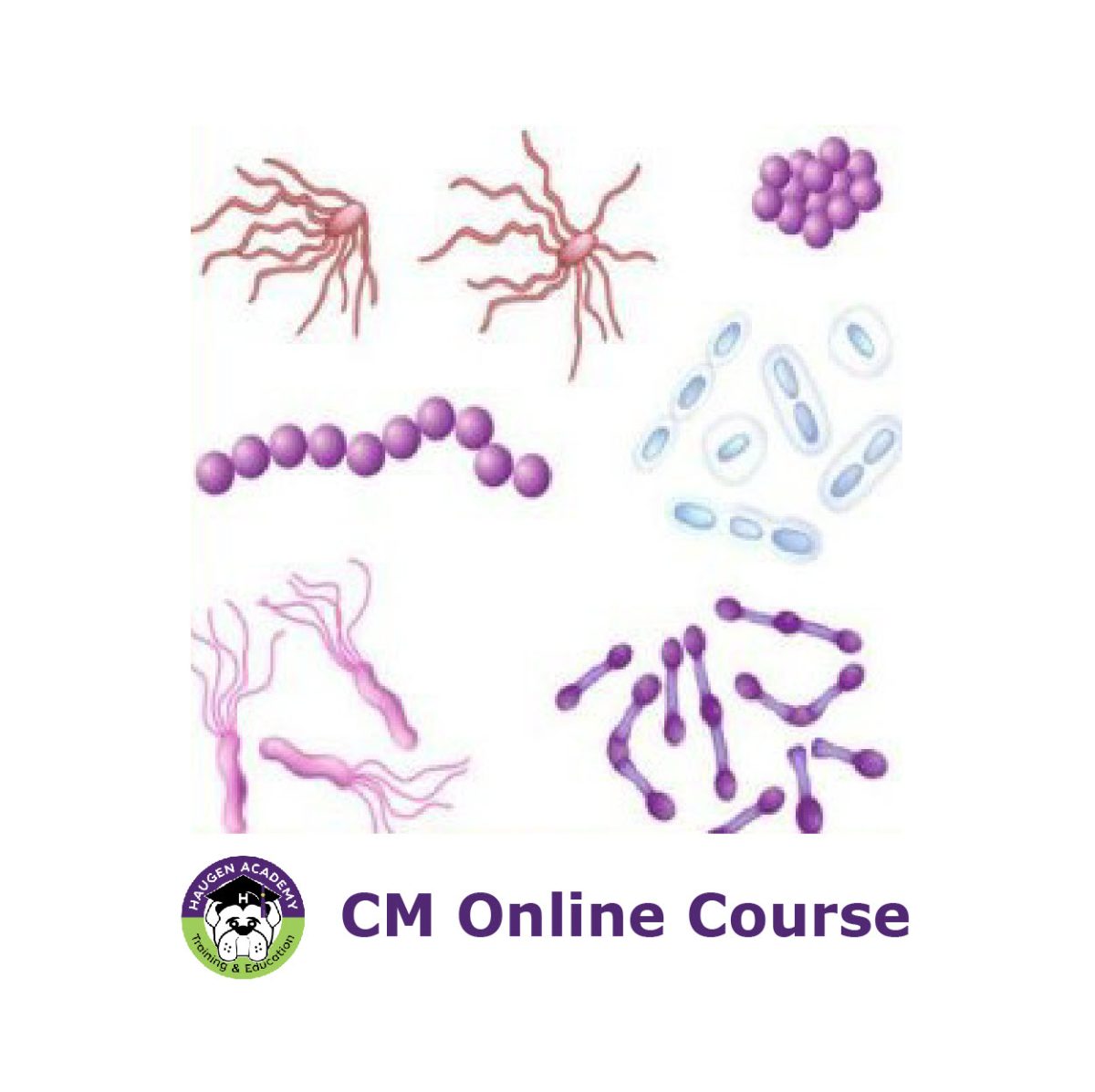 Certain Infectious and Parasitic Diseases