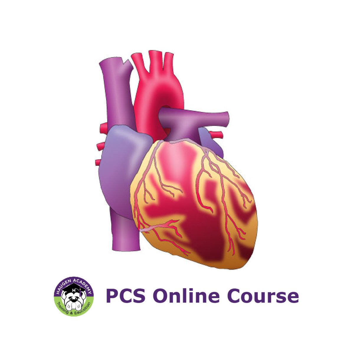 Cardiovascular Service Line – Part 2 of 2